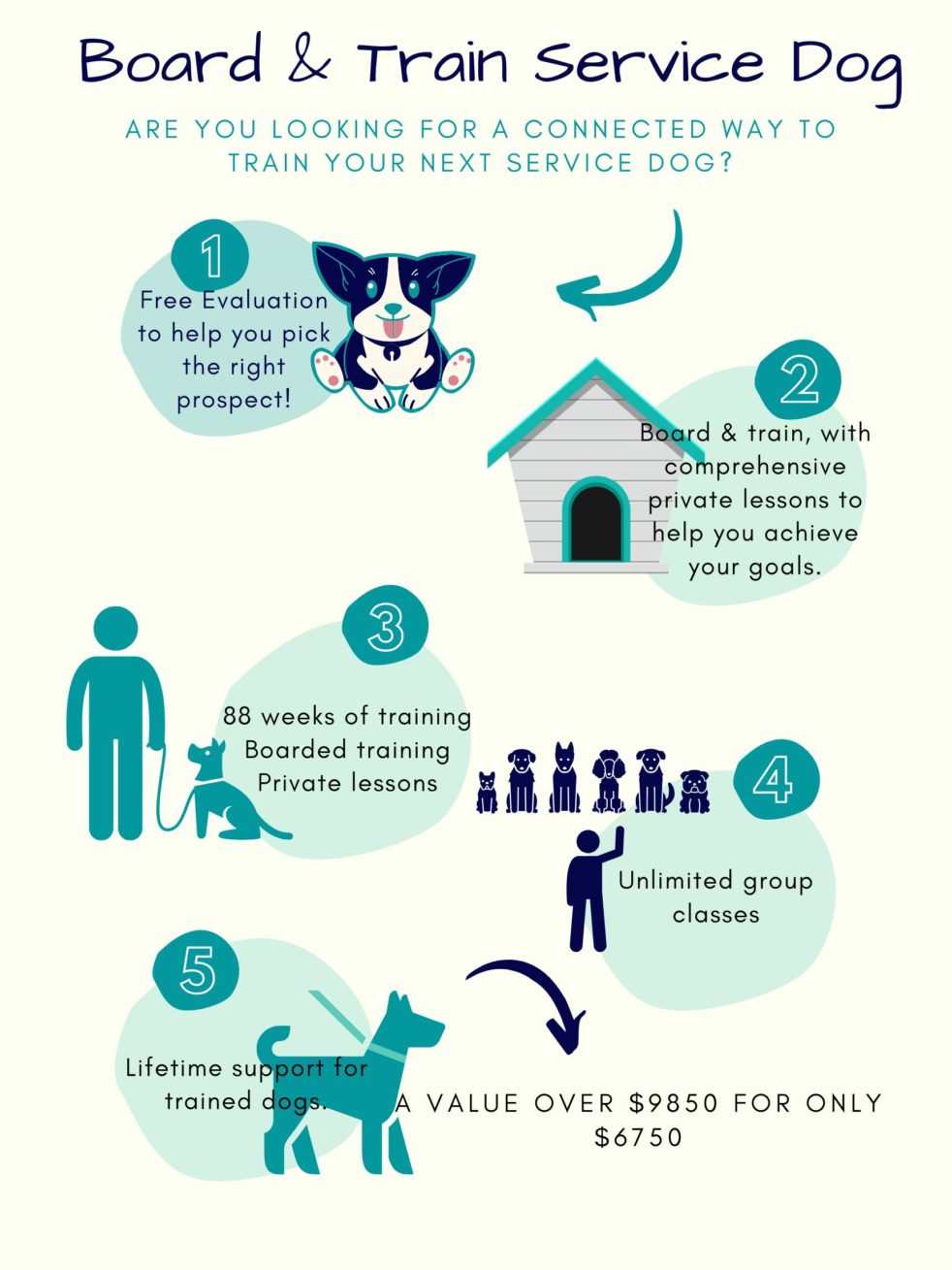 Service Dog Programs Come Sit Stay 
